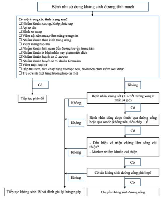Kiến thức Y khoa | Chuyển Đổi Kháng Sinh Từ Đường Tiêm Sang Đường Uống